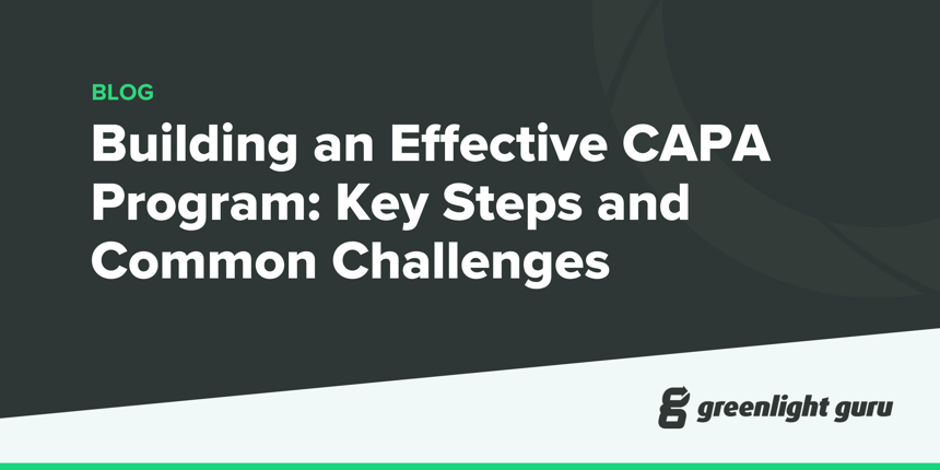 What is a CAPA Program? [Breakdown of Key Steps]